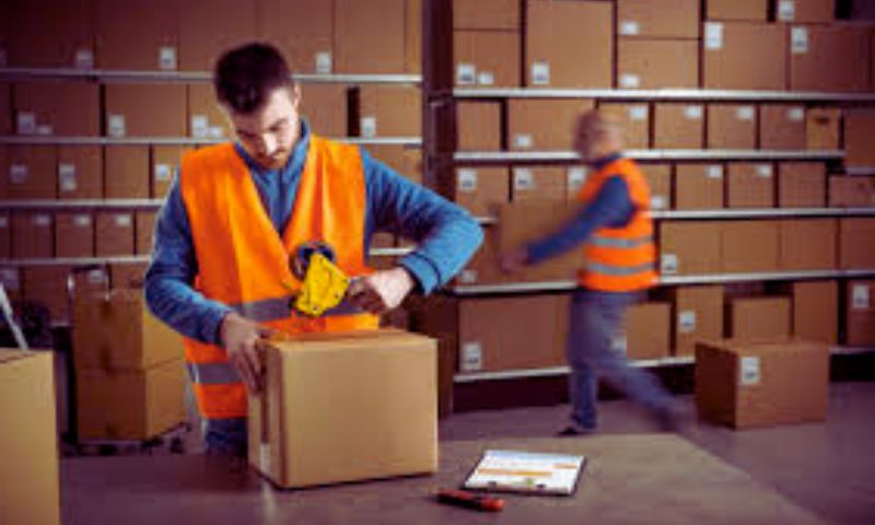 Picker/Packer Jobs in NZ - WordBuz.com