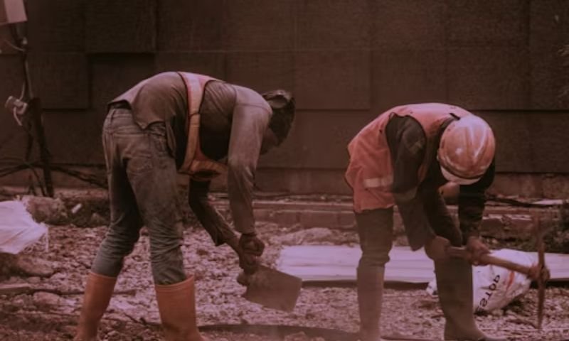 Labourers and General Hands needed in Australia - WordBuz.com